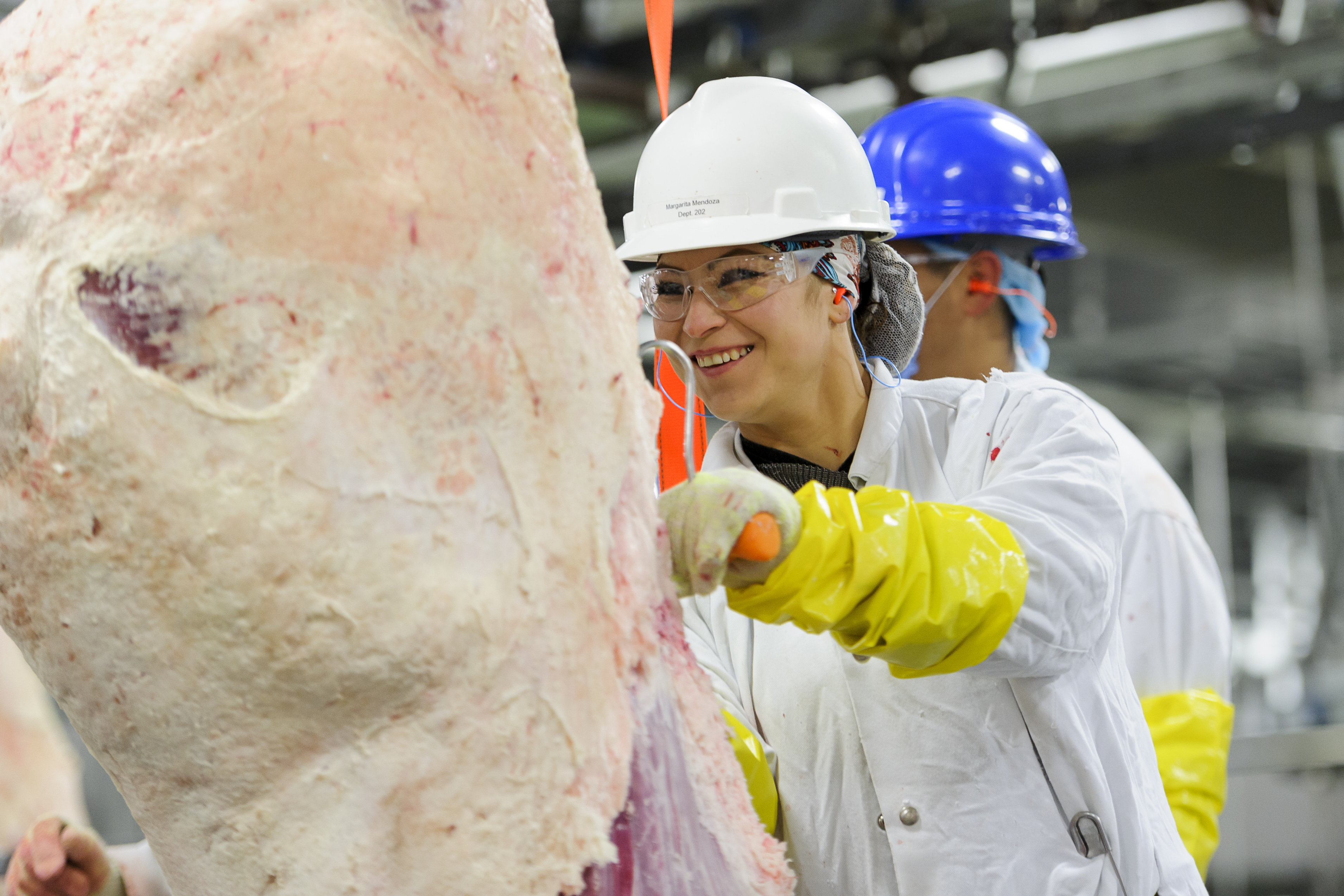 JBS Foods USA — JBS Foods