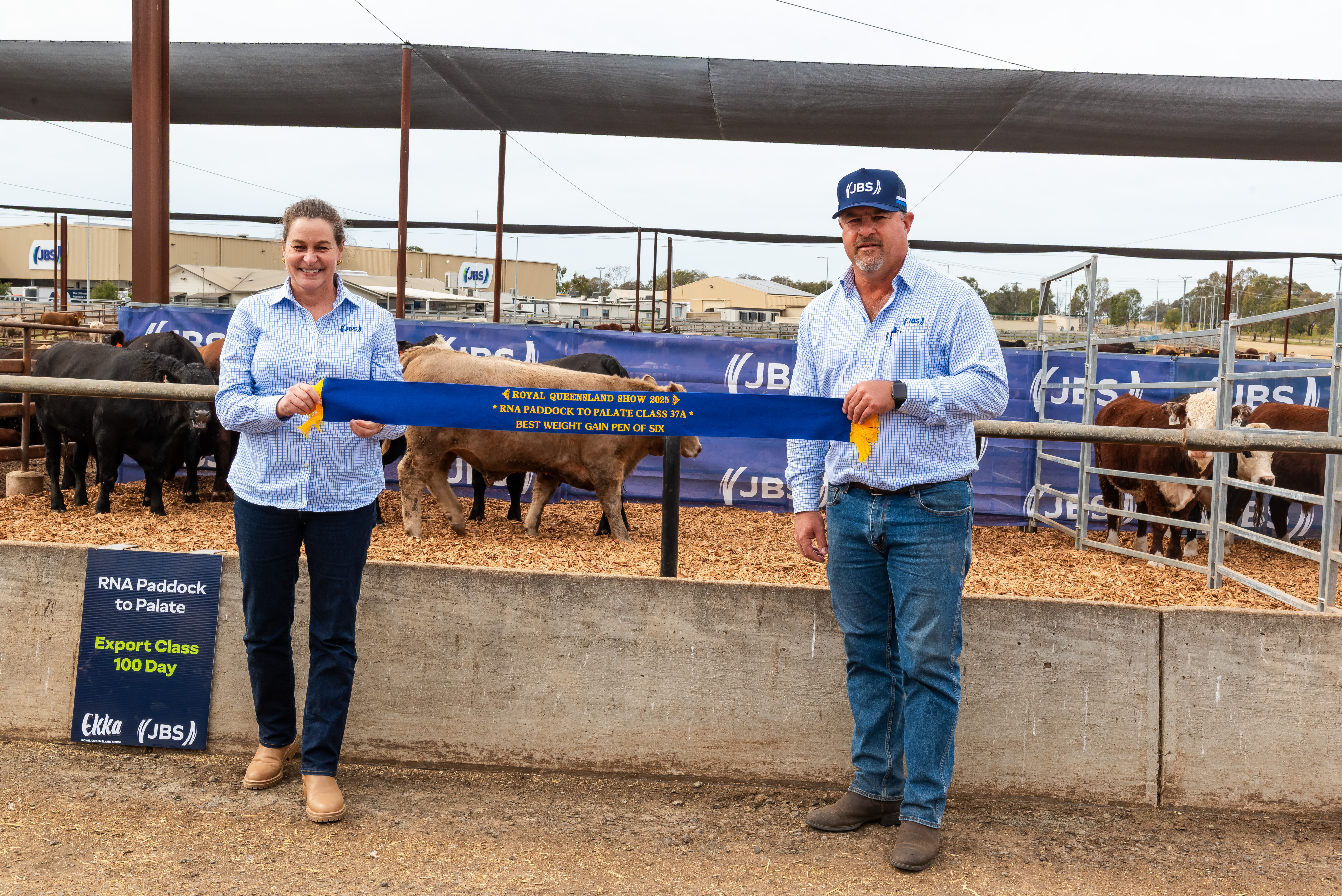 Beef City Feedlot Opens Gates to Wagyu for Ekka Paddock to Palate ...