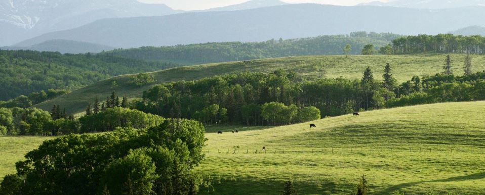 JBS Foods Canada — JBS Foods