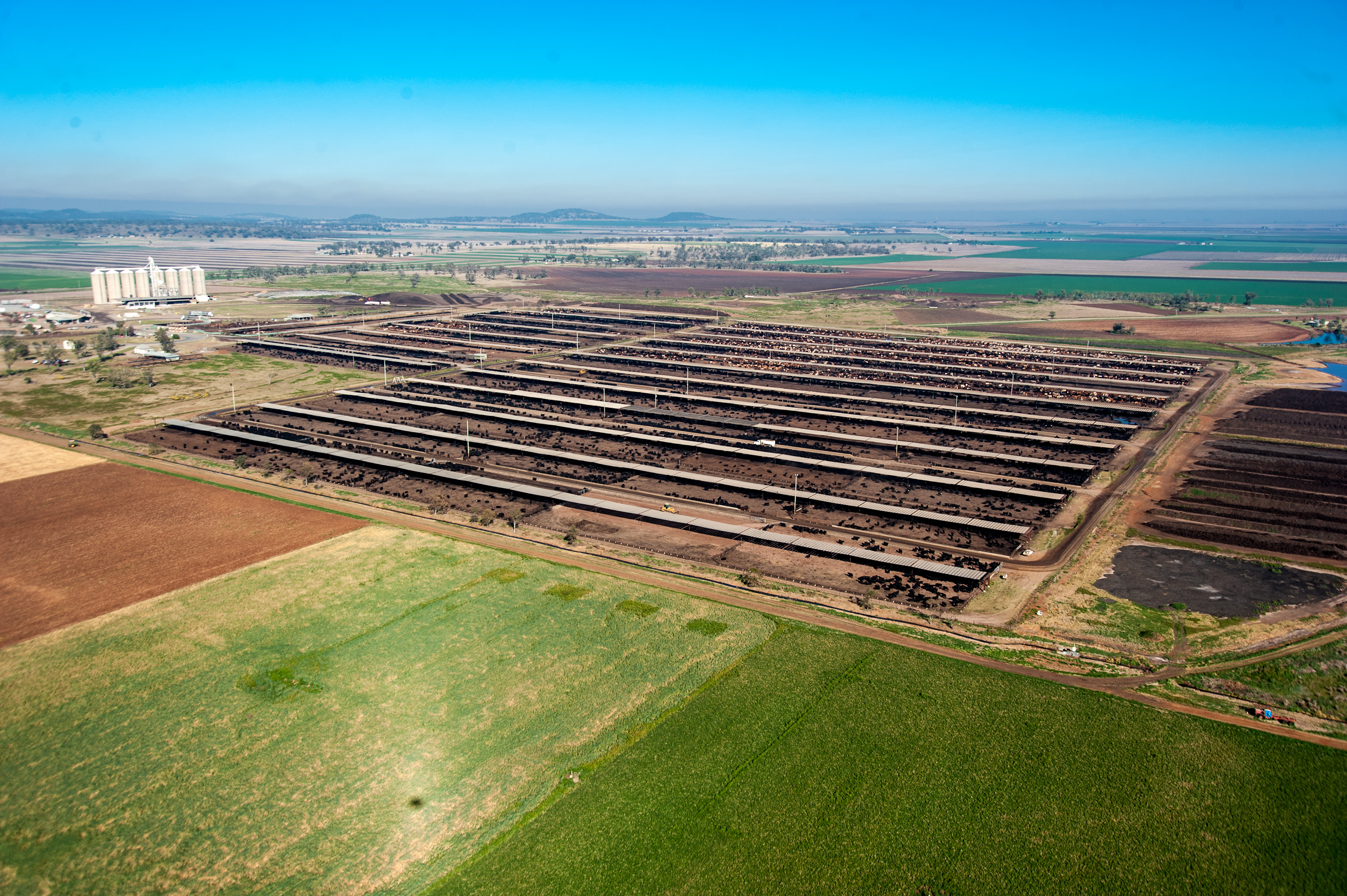 Beef City Feedlot Opens Gates to Wagyu for Ekka Paddock to Palate ...