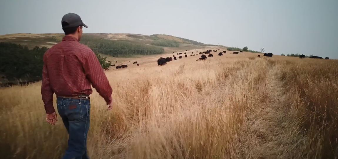 JBS Foods Canada — JBS Foods