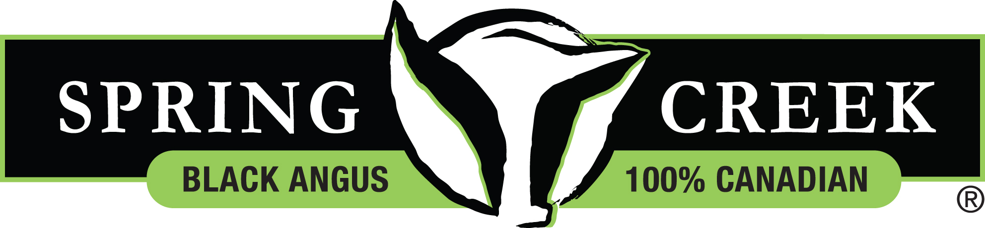 Our Brands — JBS Foods