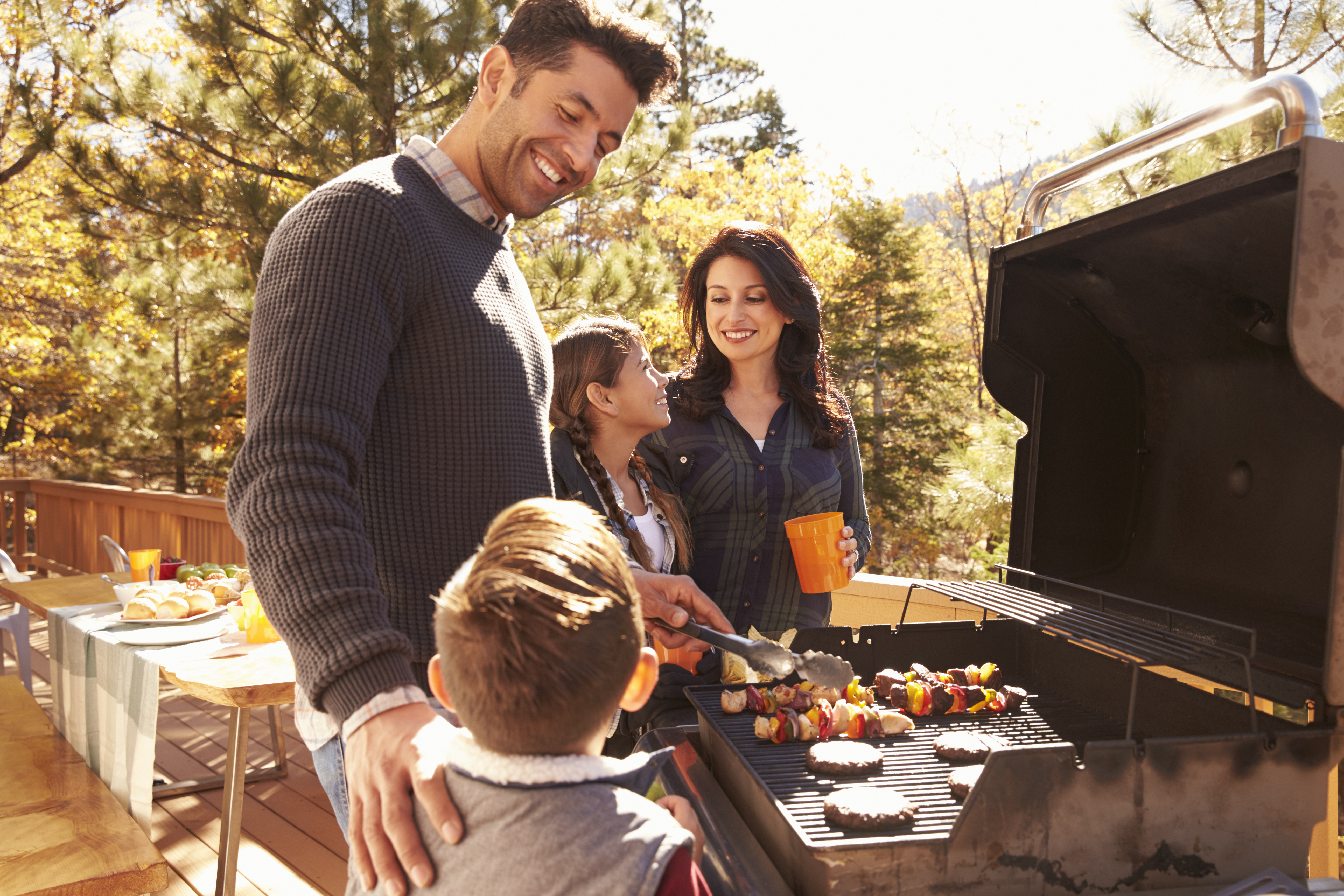 Investors — JBS Foods