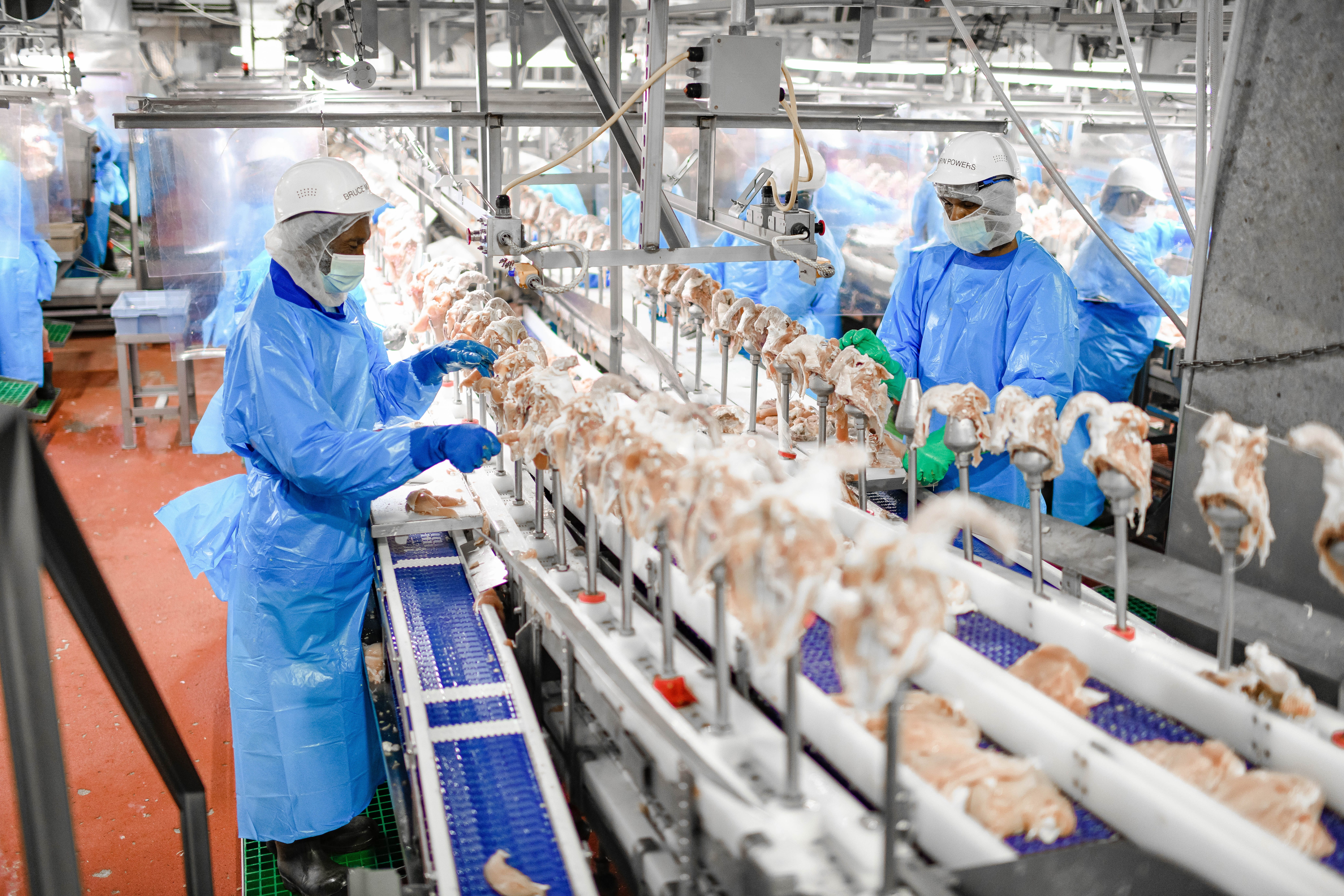 Investors — JBS Foods