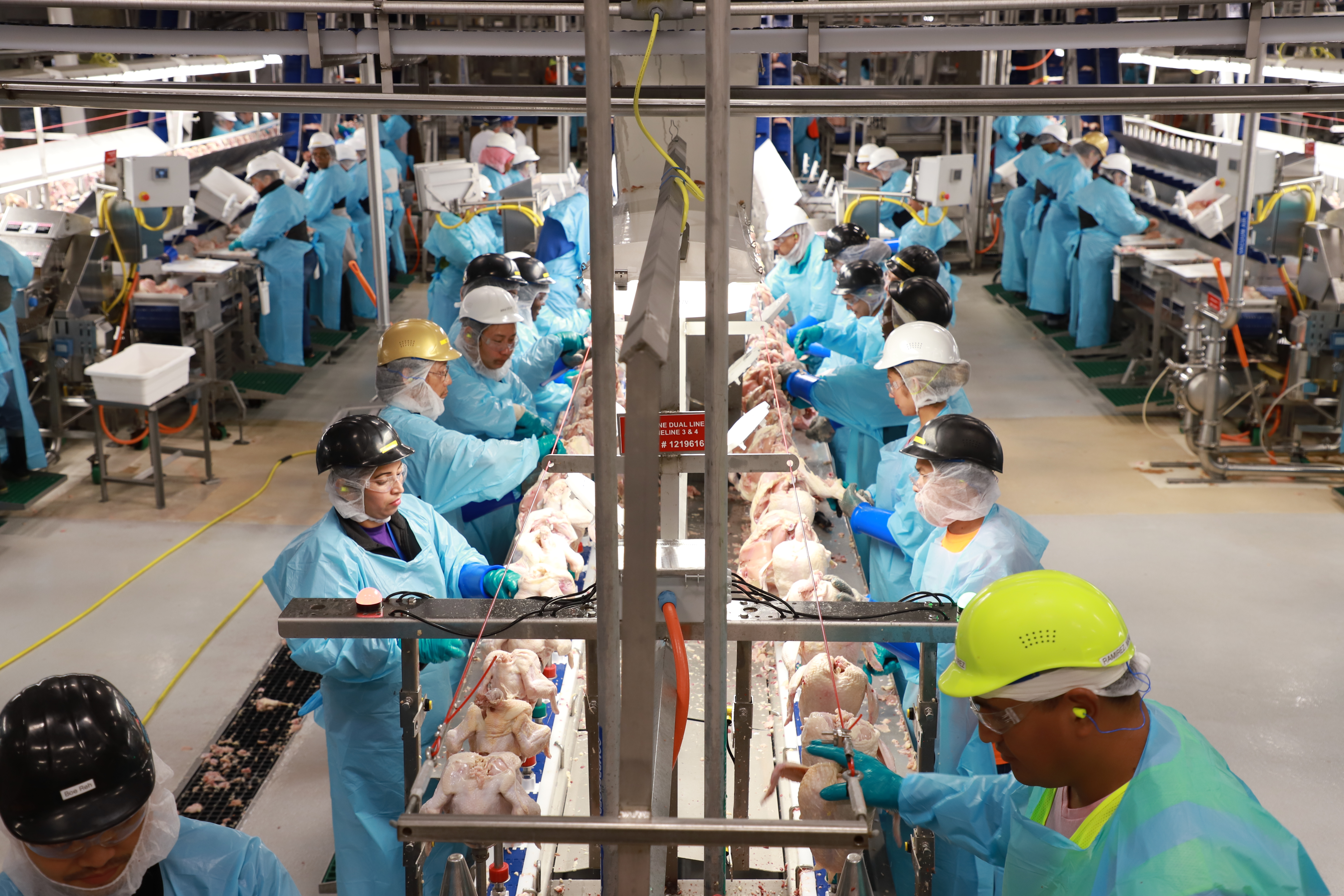 Culture — JBS Foods